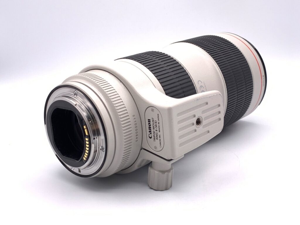 EF70-200mm F2.8L IS IIIとIIを:魔法の描写を徹底比較 - 魅惑の中望遠