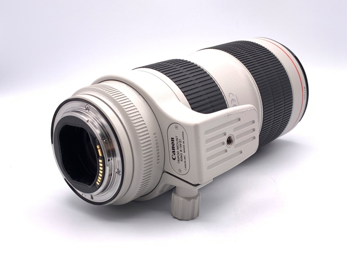 EF70-200mm F2.8L IS IIIとIIを:魔法の描写を徹底比較 - 魅惑の中望遠