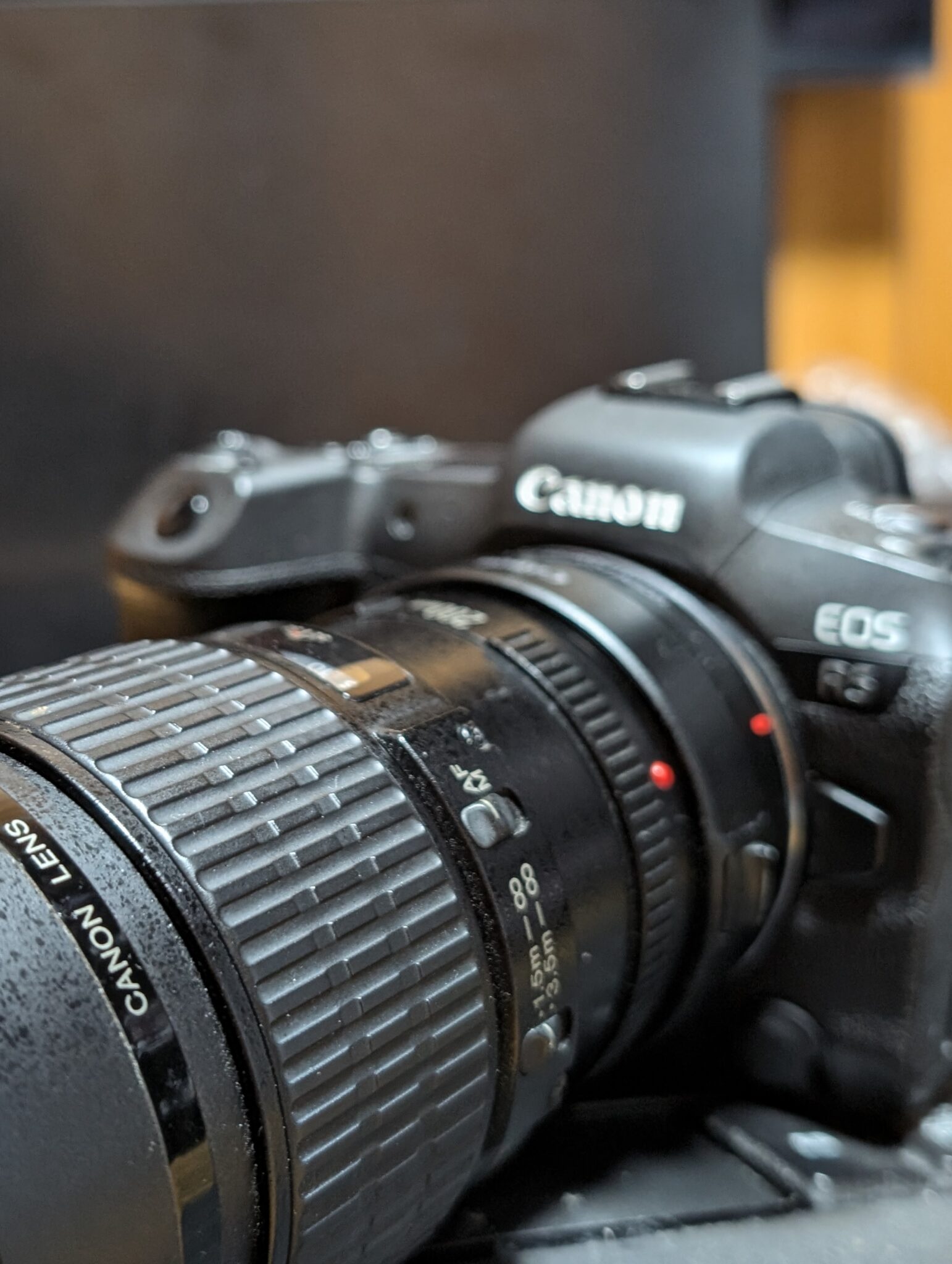 Canon RFマウントアダプター（EF-EOSR）のデメリットを魔法的に解決？ - 魅惑の中望遠