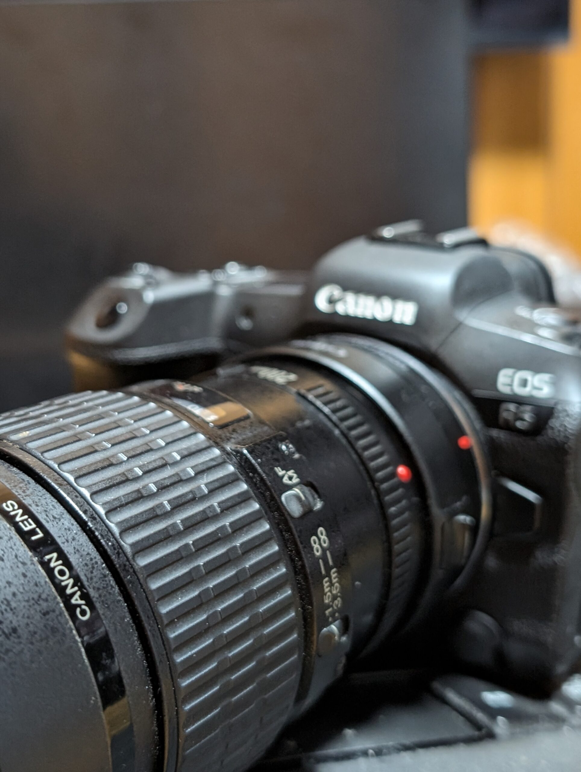 Canon RFマウントアダプター（EF-EOSR）のデメリットを魔法的に解決？ - 魅惑の中望遠